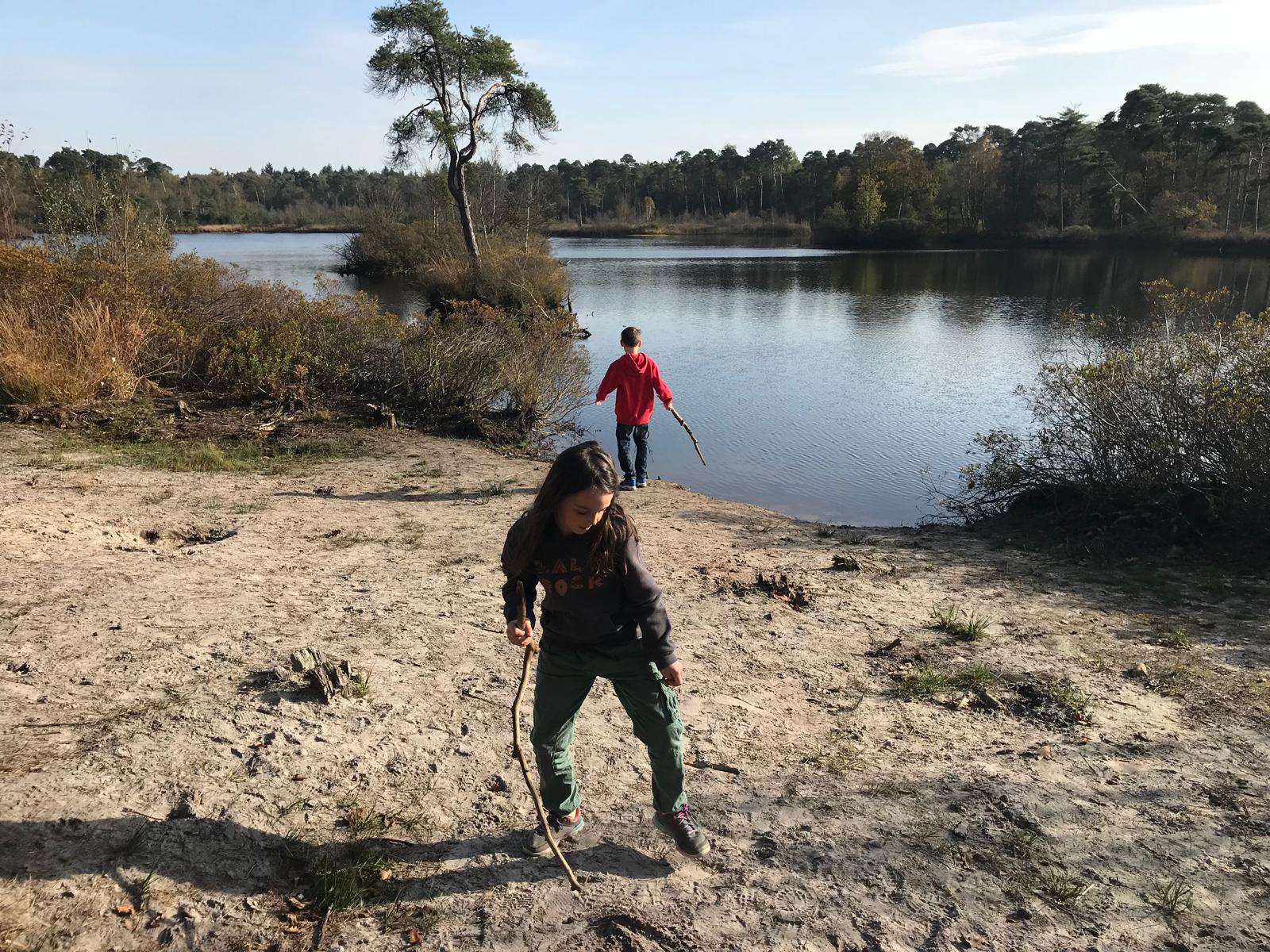 Oisterwijkse Bossen en Vennen, Netherlands – The Phillips Family Travels